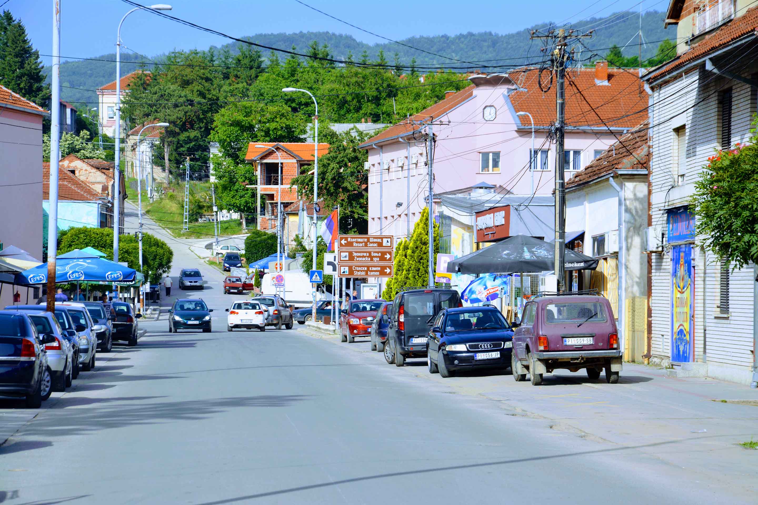 O Babušnici | Turistička organizacija opštine Babušnica